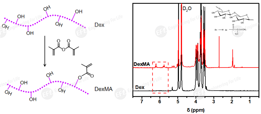 Dextran Methacryloyl (DexMA)-苏州永沁泉智能设备有限公司