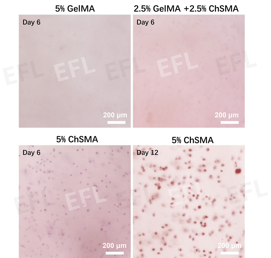 甲基丙烯酰化硫酸软骨素（ChSMA）-苏州永沁泉智能设备有限公司