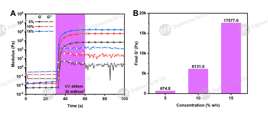 苯硼酸修饰甲基丙烯酰化明胶（GelMA-PBA）-苏州永沁泉智能设备有限公司